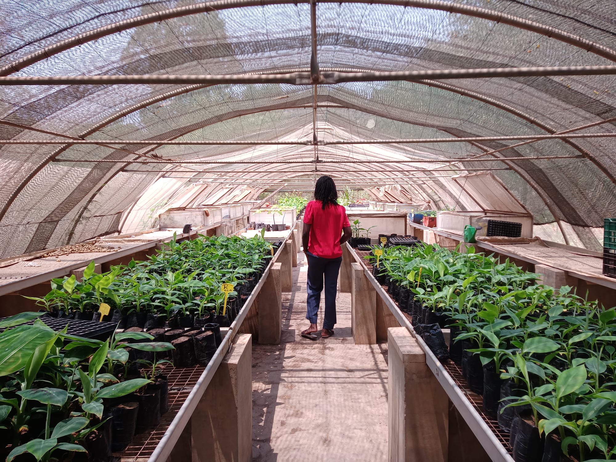 Beta Tech Center — Un estudiante de doctorado de CT BETA recibe una ...
